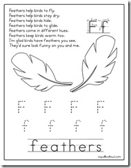 Totally Tots: Now I Know My ABCs ~ Ff is for Feathers